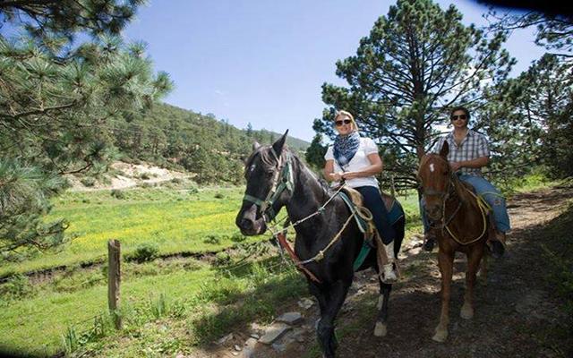 Hotel Bosques De Monterreal - Ofertas de hoteles en Saltillo