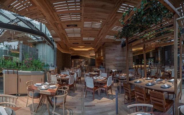 Hotel Presidente Intercontinental Ciudad de México | Ofertas Cd México