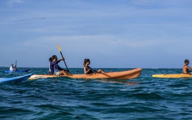 Tour Kayak En Xcalak - Tours, paseos y actividades en Xcalak
